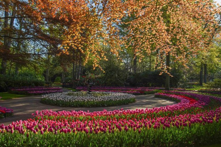 Landgoed Keukenhof, Lisse | LBP|SIGHT